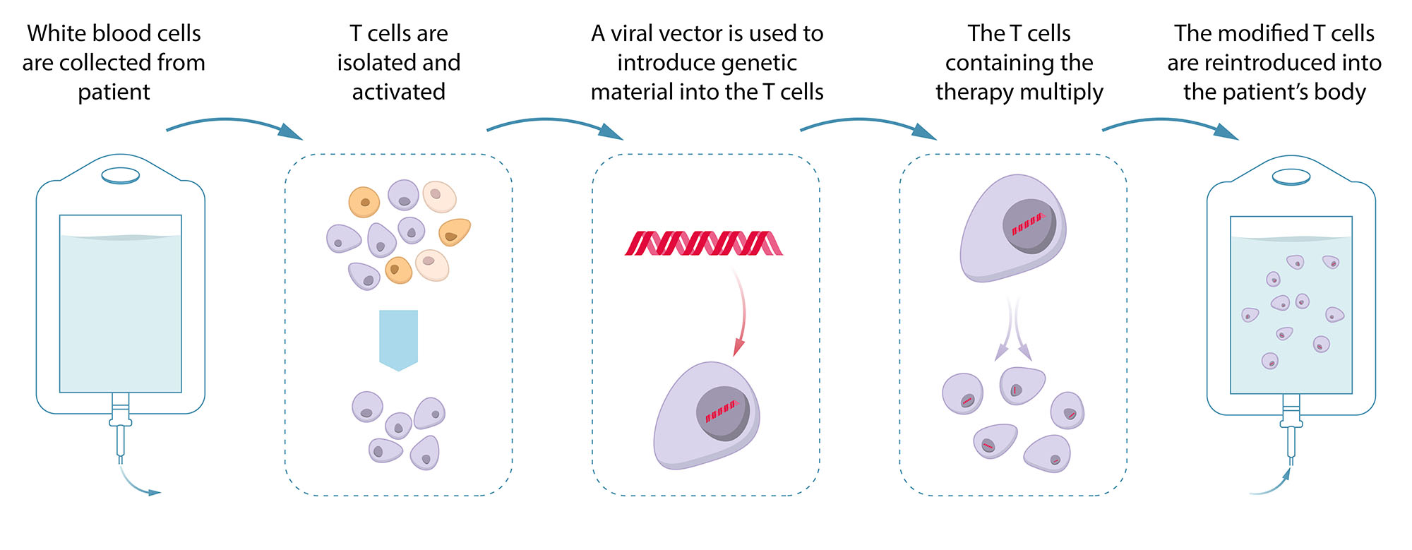 Medicine’s Next Big Breakthrough: Viral Vectors for Cell and Gene Therapies - Newry Corp ...